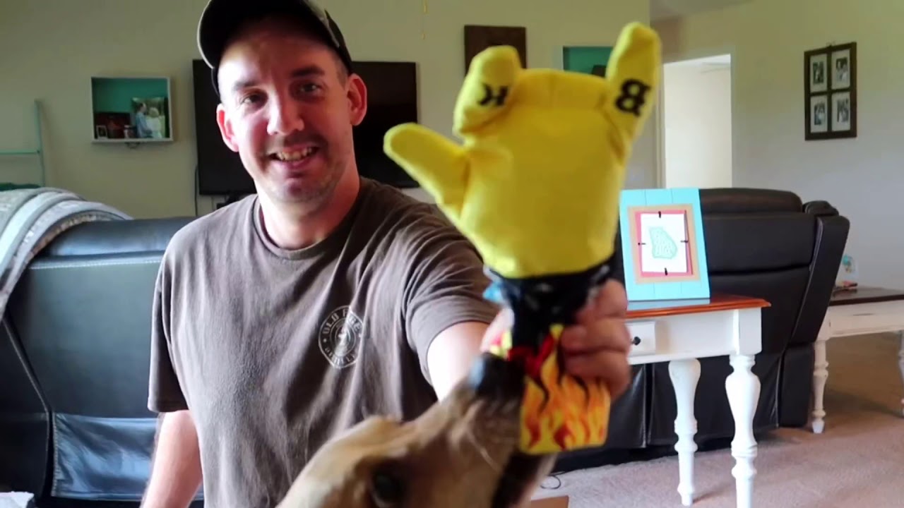 Barkbox review July 2019 - YouTube