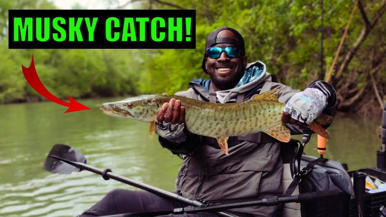 Spring MUSKY FISHING on the Collins River - YouTube