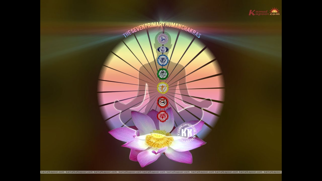 Taurus What Chakras do you need help on🤷‍♀️ - YouTube