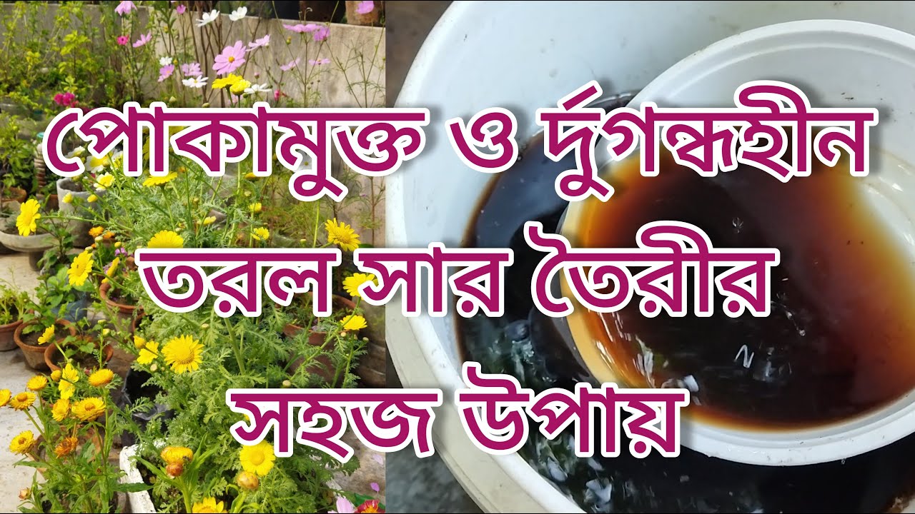 How To Make Kitchen Waste Liquid Fertilizer | Make Liquid Fertilizer ...