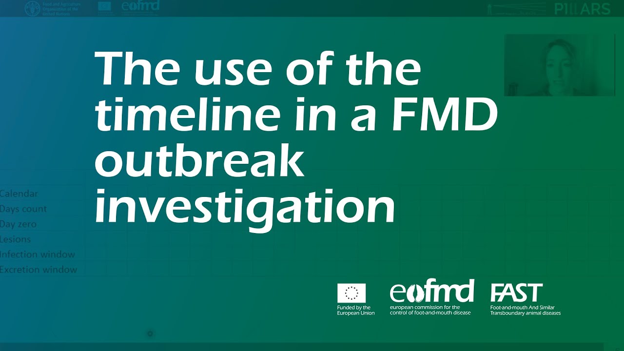 The use of the timeline in a FMD outbreak investigation - YouTube
