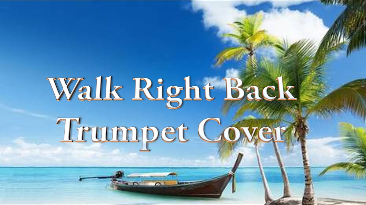 An Instrumental cover to 'Walk Right Back' - YouTube