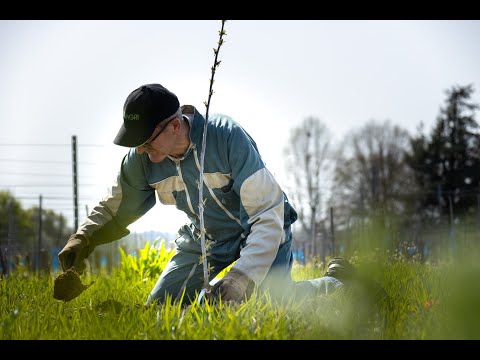 Domaine Rotier   Plantation haie champêtre