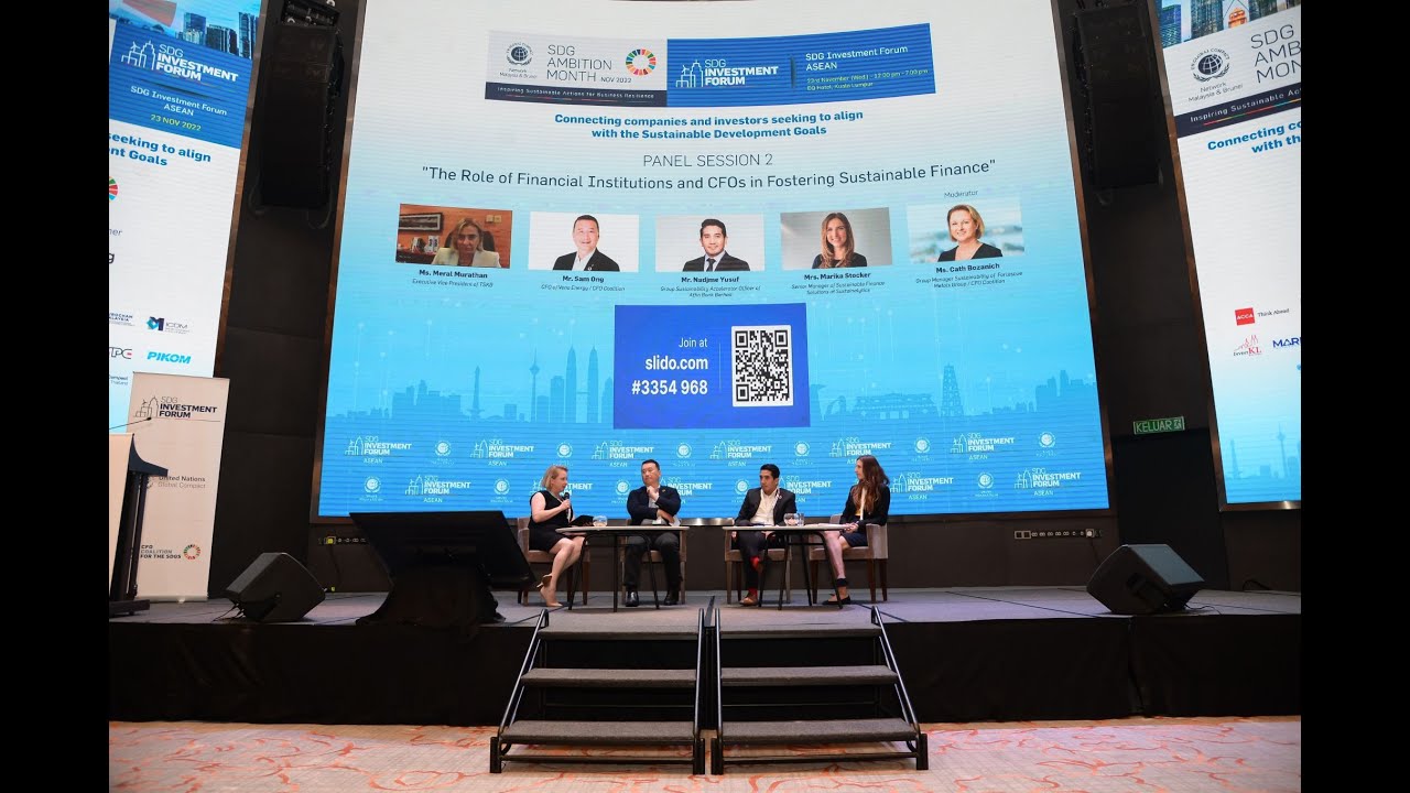 Sixth SDG Investment Forum by CFO Coalition for the SDGs - YouTube