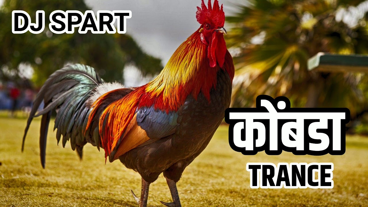 Kombda Trance | DJ Spart | Mymarathi - YouTube