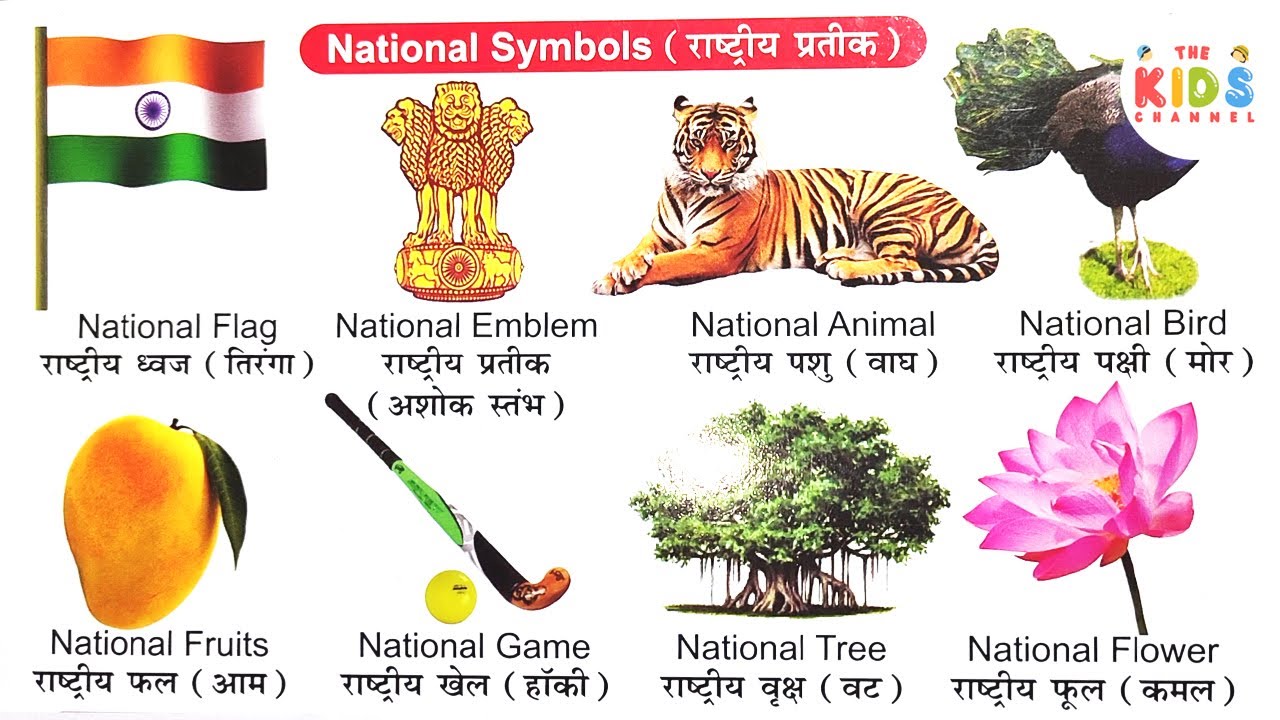 How India's National Symbols Tell a Story of Unity in Diversity ...