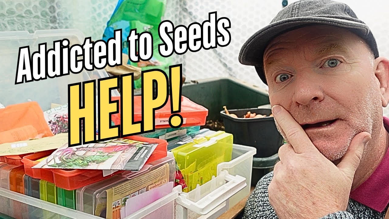 Why I Can’t Stop Buying Seeds (Even When I Don’t Need Them!) - YouTube