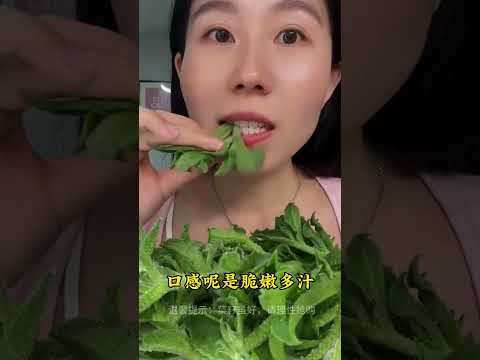 Revolutionize Your Garden: Cultivate Isatis Root Greens This Season