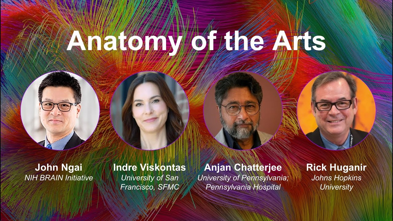 Anatomy of the Arts - John Ngai, Rick Huganir, Anjan Chatterjee, Indre Viskontas - YouTube