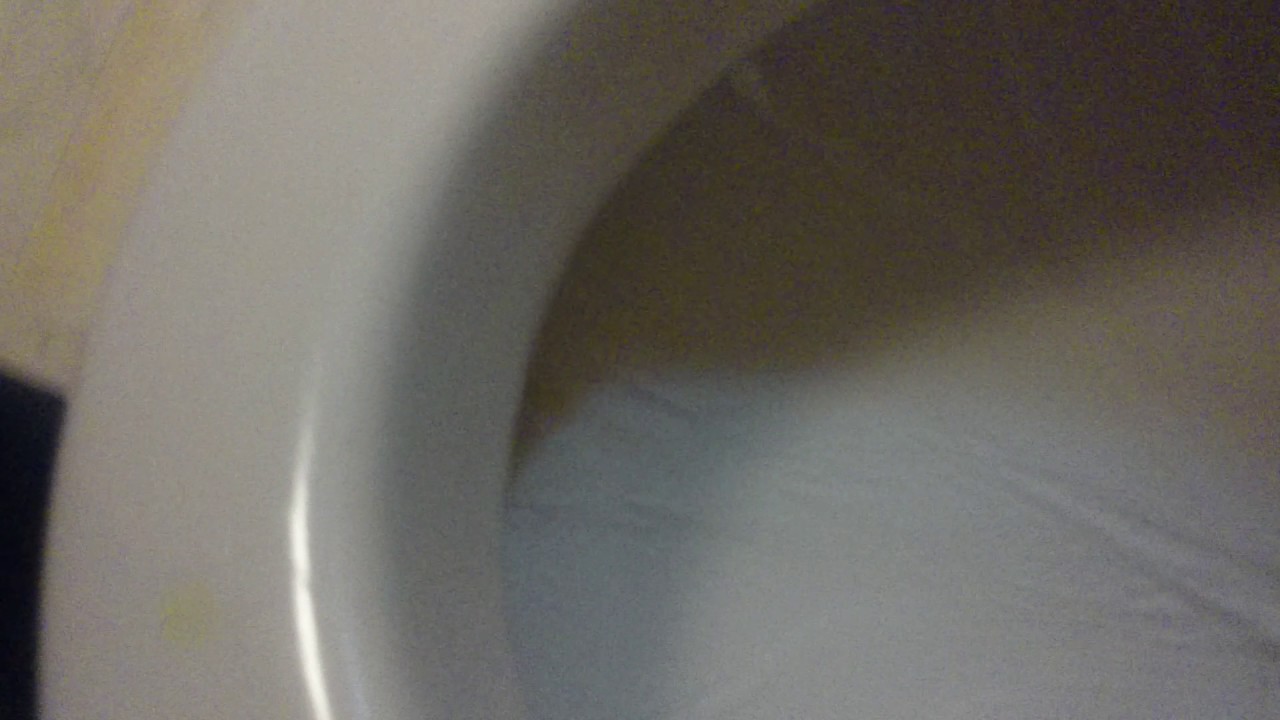 TOTO C480系列 - YouTube