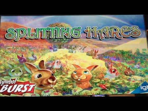 Splitting Hares VS Panda Palace LIVE PLAY Slot Machine Pokie in Vegas ...