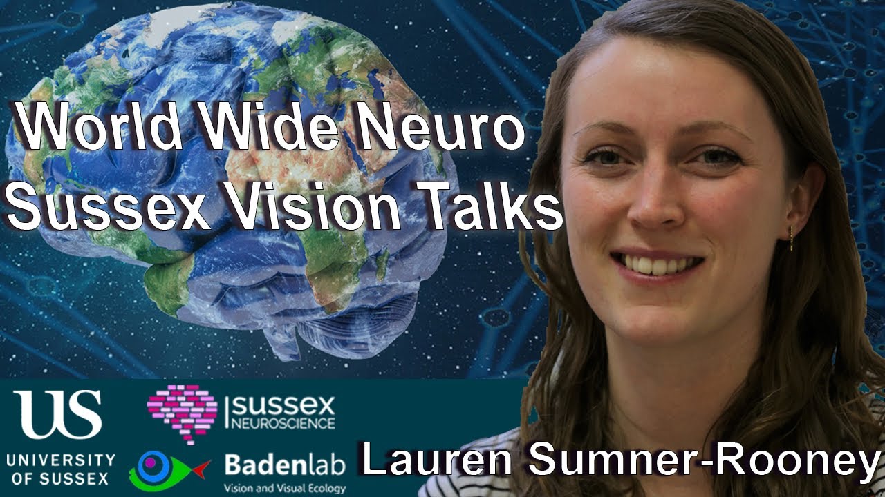 World Wide Neuro | Sussex Vision Series - 09/05/2022 - Dr. Lauren ...