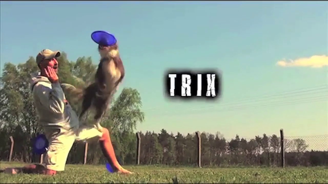 Thumber around the body - YouTube