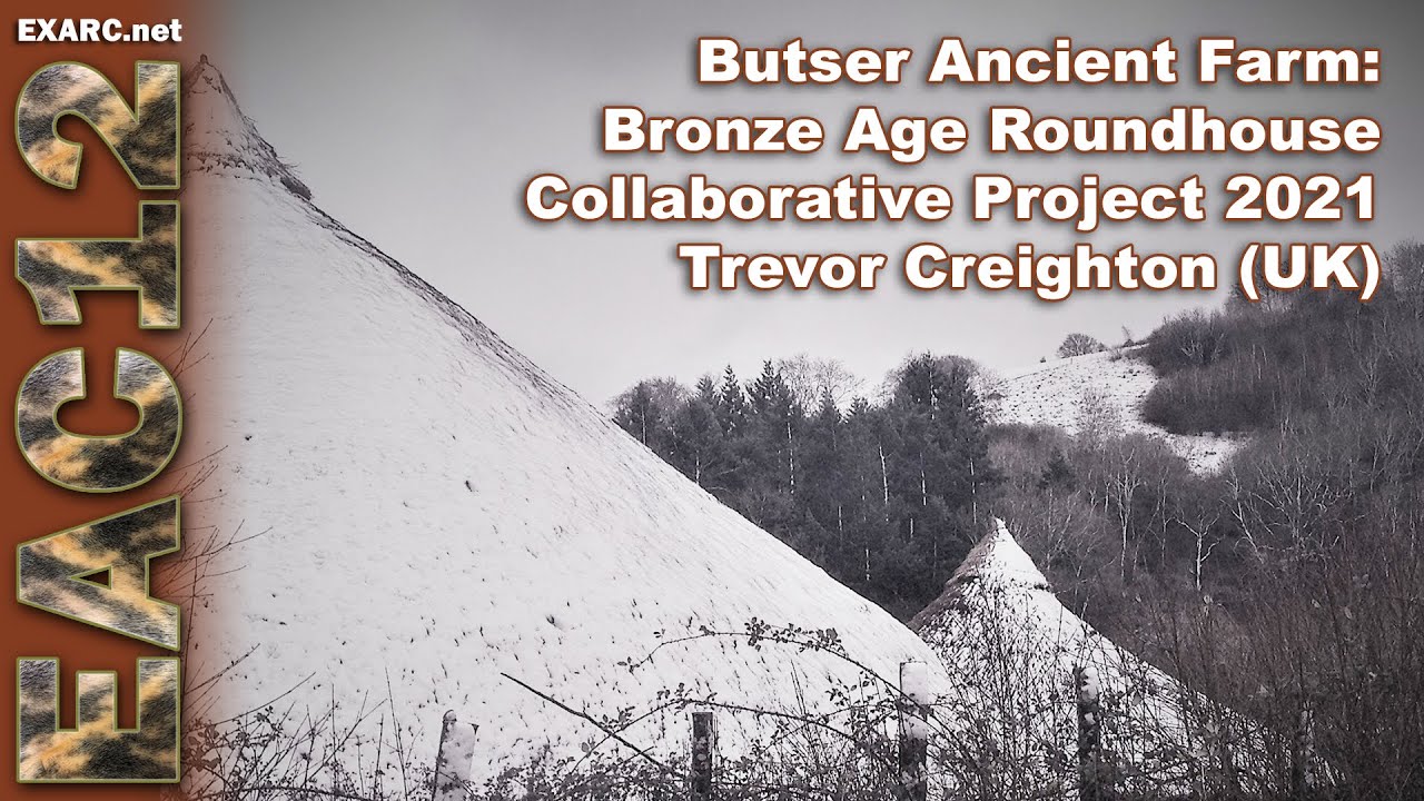 Butser Ancient Farm: Bronze Age Roundhouse Collaborative Project 2021 ...