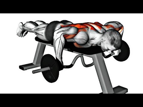 HOW TRAIN YOUR BACK WORKOUT|| ( 5 EFFECTIVE EXERCISE) HOME WORKOUT ...