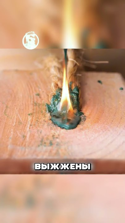 ХОЧЕШЬ ТАКИЕ САНДАЛИ НА ЛЕТО?😂 - YouTube