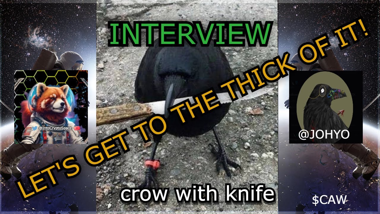 CROW WITH KNIFE $CAW - INTERVIEW WITH JOHYO - TEAM MEMBER - GET INSIDE ...