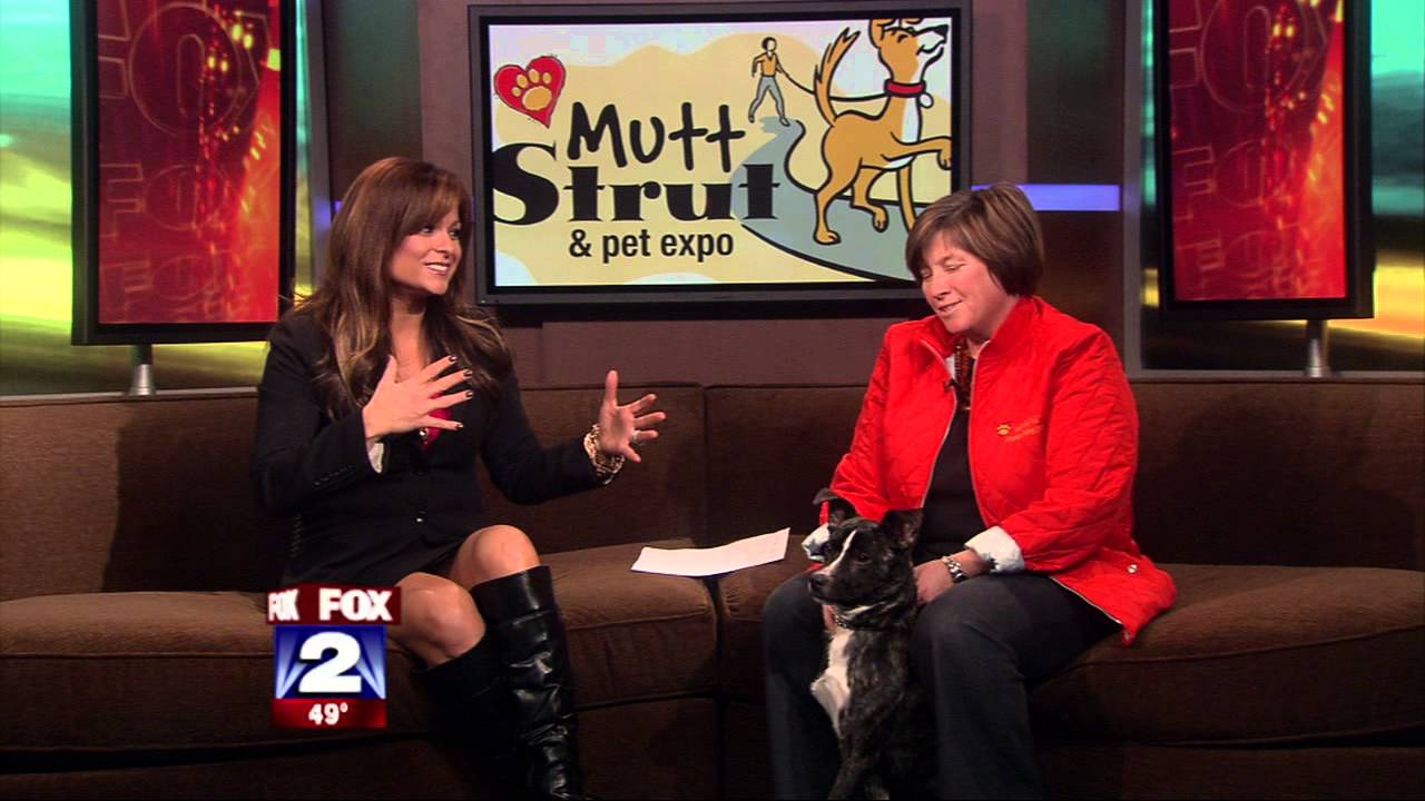 WJBK DT 2 1 2010 03 08 Taryn Asher - YouTube