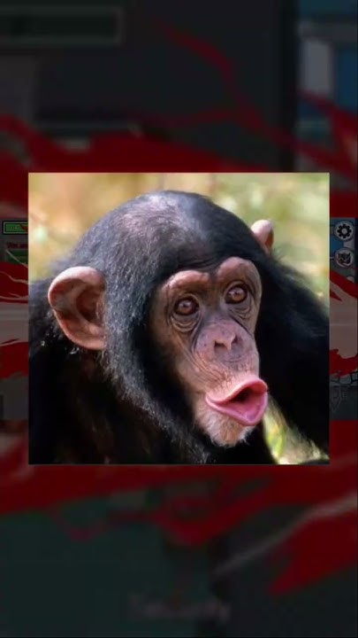 CLIP: “Sus Guy” meme - Among Us - YouTube