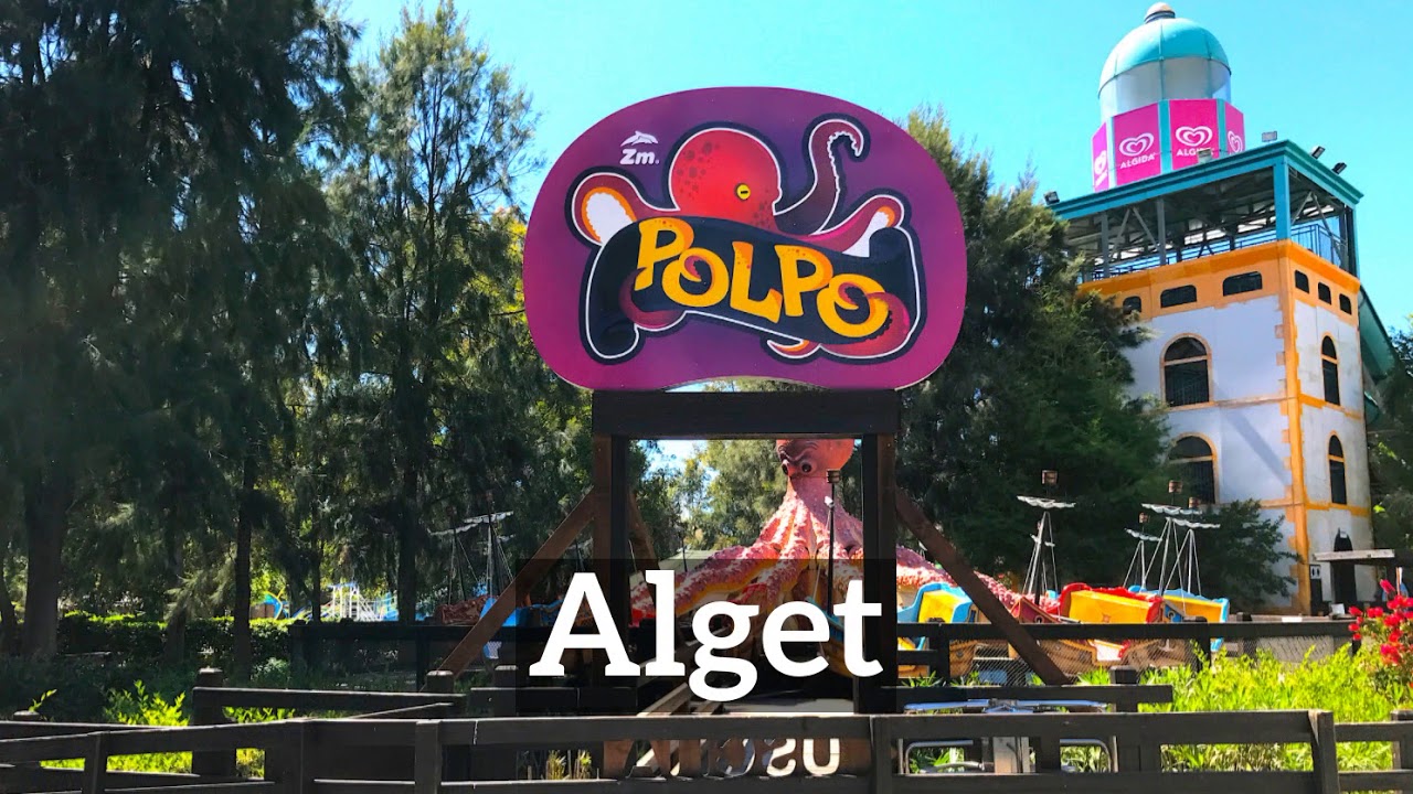 What is Alget? | How Does Alget Look? | How to Say Alget in English ...