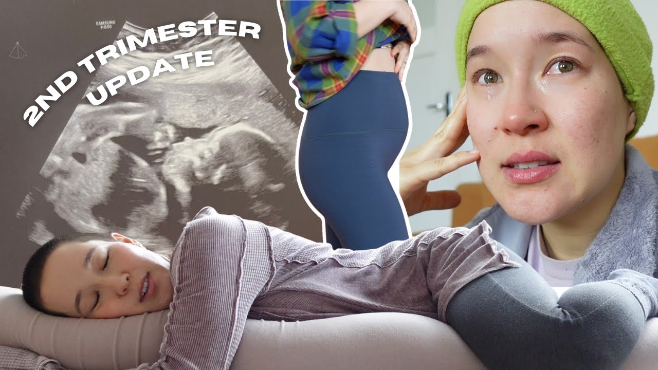 Second Trimester Update: processing difficult feelings, symptoms, travel, and more! - YouTube