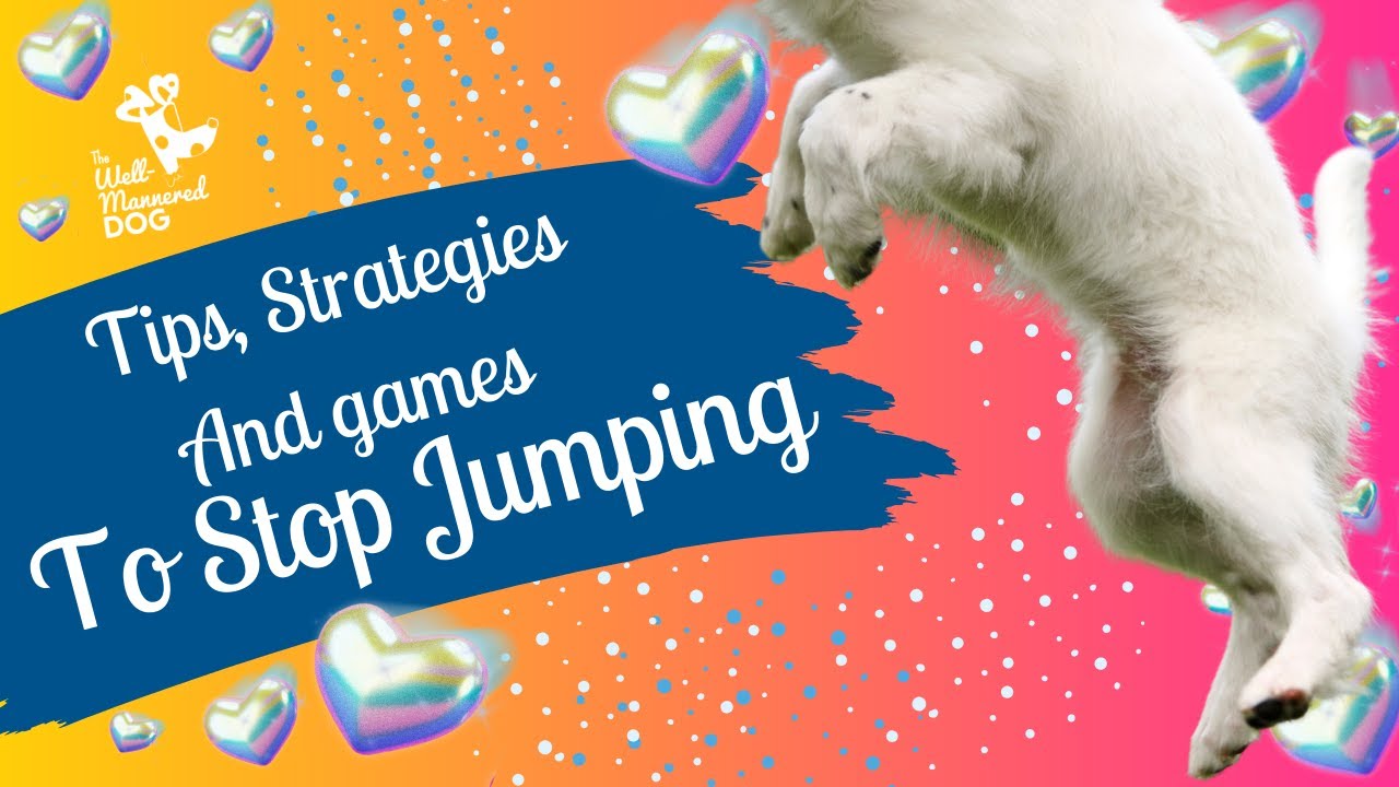 Tips And Strategies to Stop Jumping video 1 - YouTube