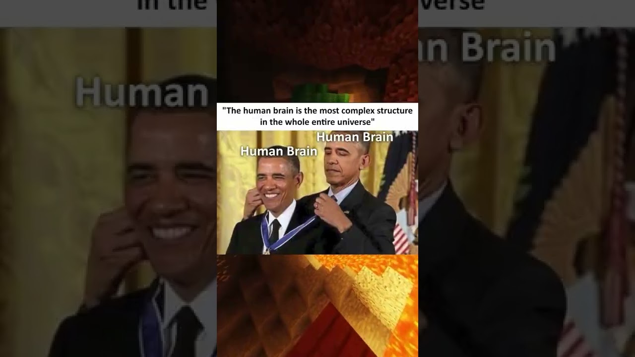 Technically the Truth 14 - YouTube