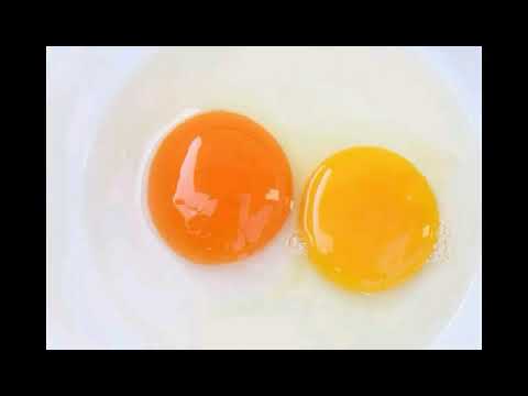 video 1593782881