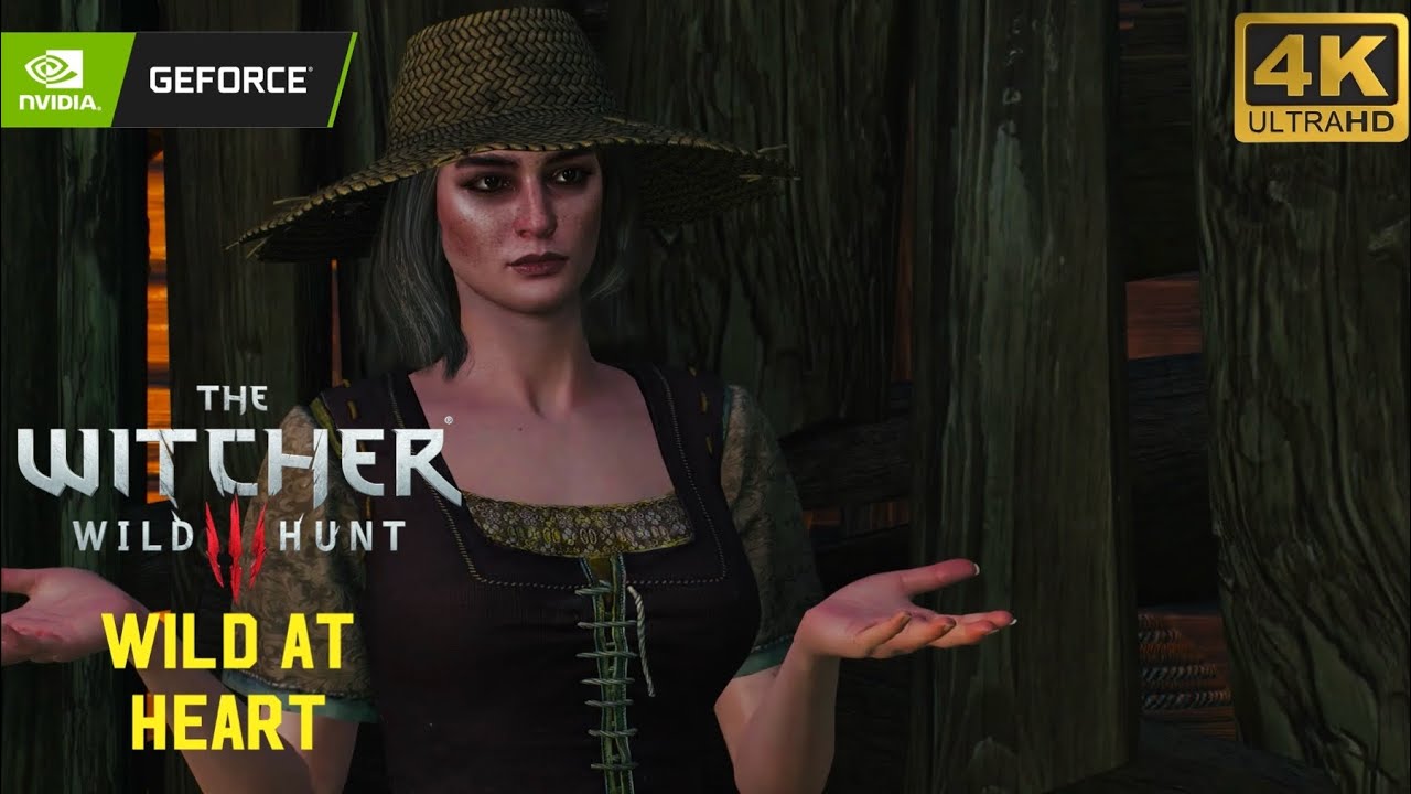 The Witcher 3 Secondary Quest #5 "Wild At Heart" - YouTube