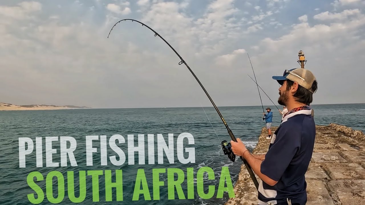 Extreme Pier Fishing in the Eastern Cape (Sting Rays and Massive Shark ...