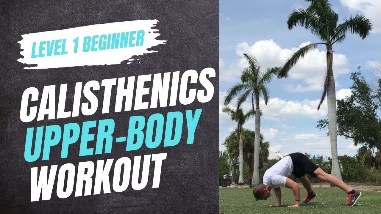 FREE Beginner Calisthenics Upper-Body Workout (Level 1) | Perfect for ...