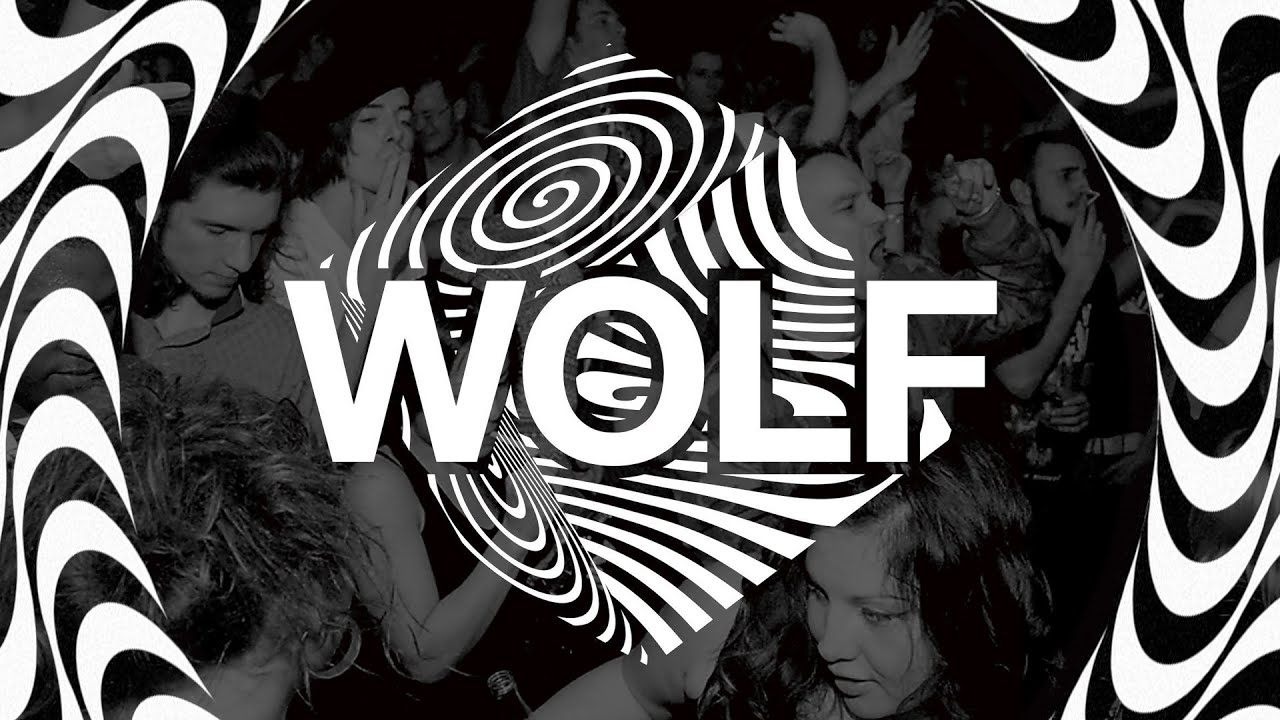 Wolf Music Recordings Pick & Mix ++ Not So Vintage House Music ++ Dj ...