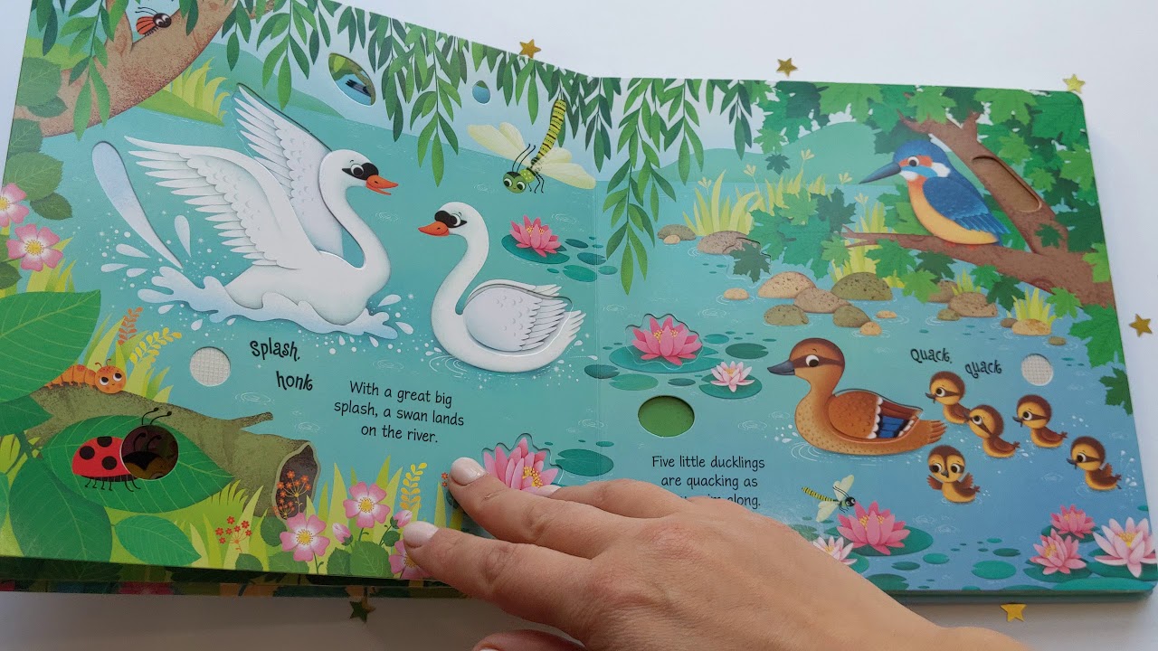 Bird Sounds, Sound books, Usborne - YouTube