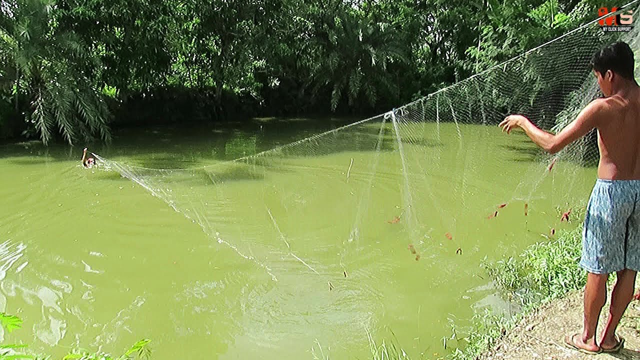 Fish Trap Using Net in Pond at Sundarban Village - YouTube