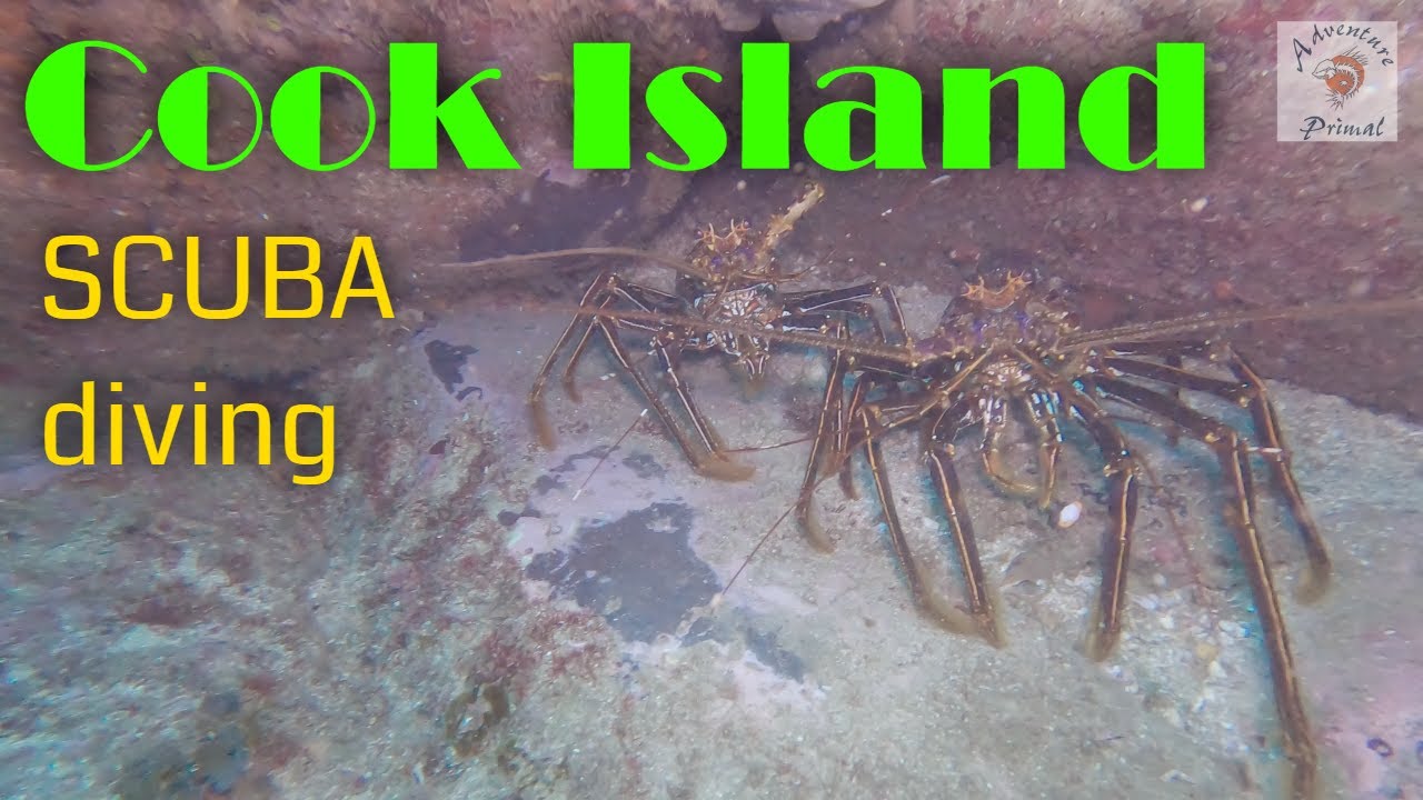 Cook Island SCUBA diving - YouTube