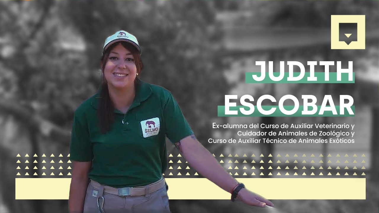 De Nubika al trabajo soñado: conoce la opinión de Judith Escobar - YouTube