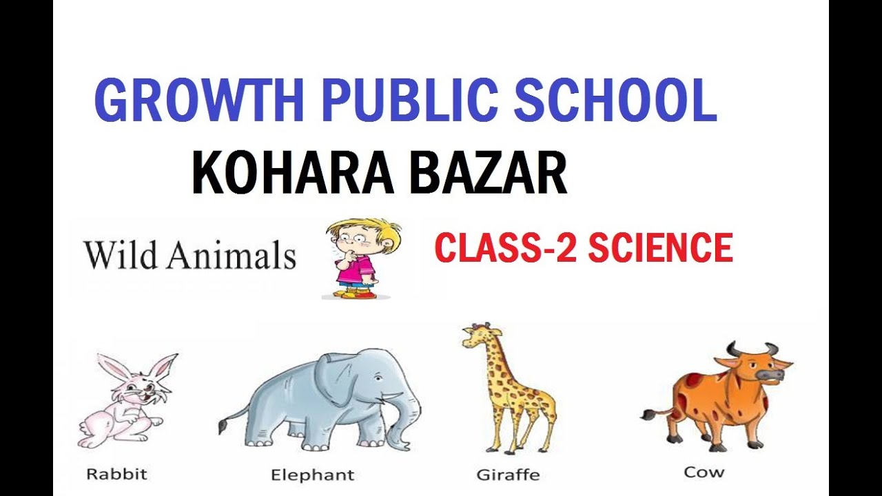 CLASS 2 LESSION 4 #SCIENCE #WILD ANIMAL - YouTube