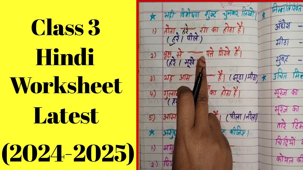 Class 3 Hindi Annual Exam Question Paper 2024-25 | Class 3 Exam Paper ...
