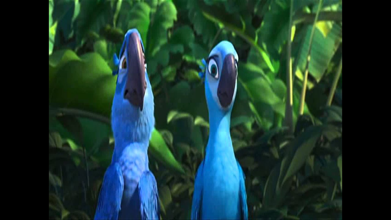 Rio full movie part 1 - YouTube