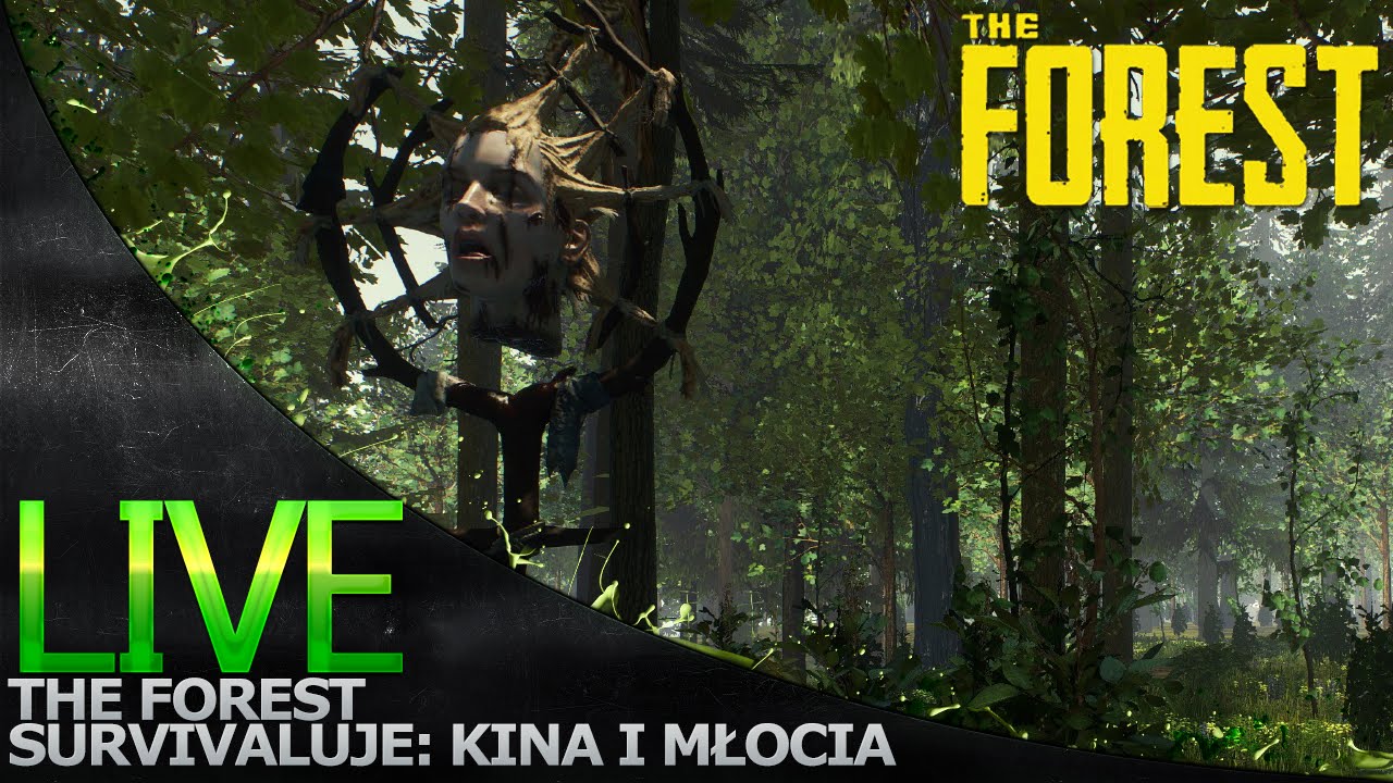 The Forest - Zapis z live. Robi loda mu +18 / Młoteczka - YouTube
