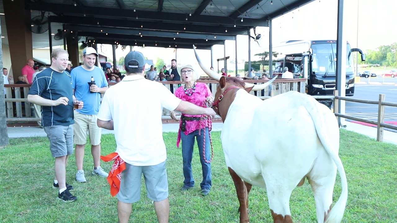 Outdoor Event Venue Activities - Houston Stampede Event Center - YouTube