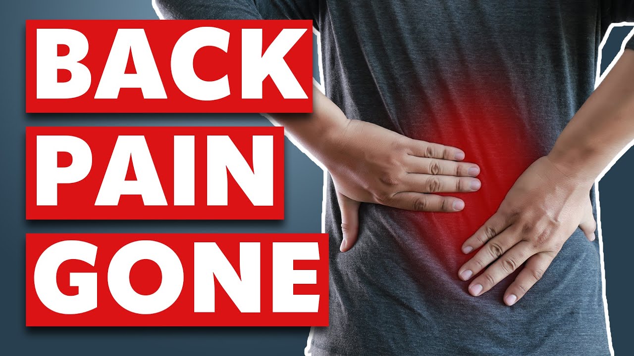 Watch these 93 minutes if you want to overcome your Lower Back Pain ...