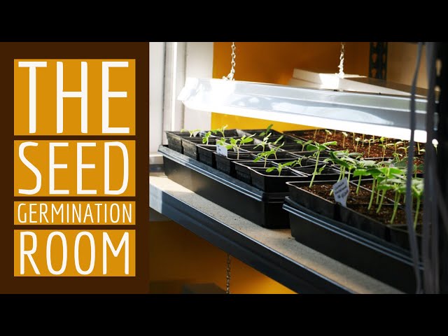 Seed Germination Room Design - Infoupdate.org