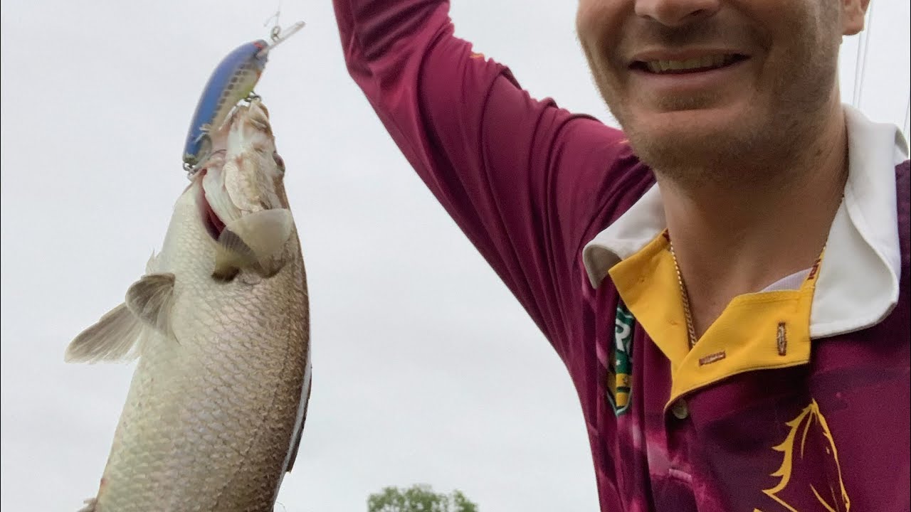 FISHING TOWNSVILLE PART 1!! Fishing local drains !!!!BARRA!!! caught ...