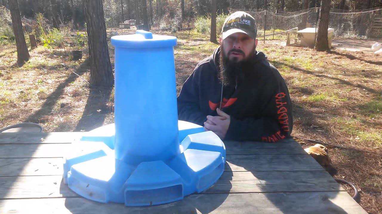 Pollen Sub Feeder - 3.5 Week Update - YouTube