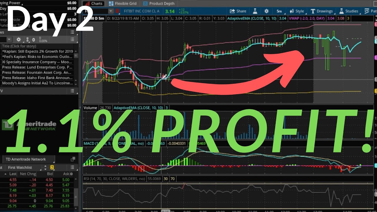 FIRST PROFITABLE DAY!!! - Day Trader Second Day Recap - Day Trading ...