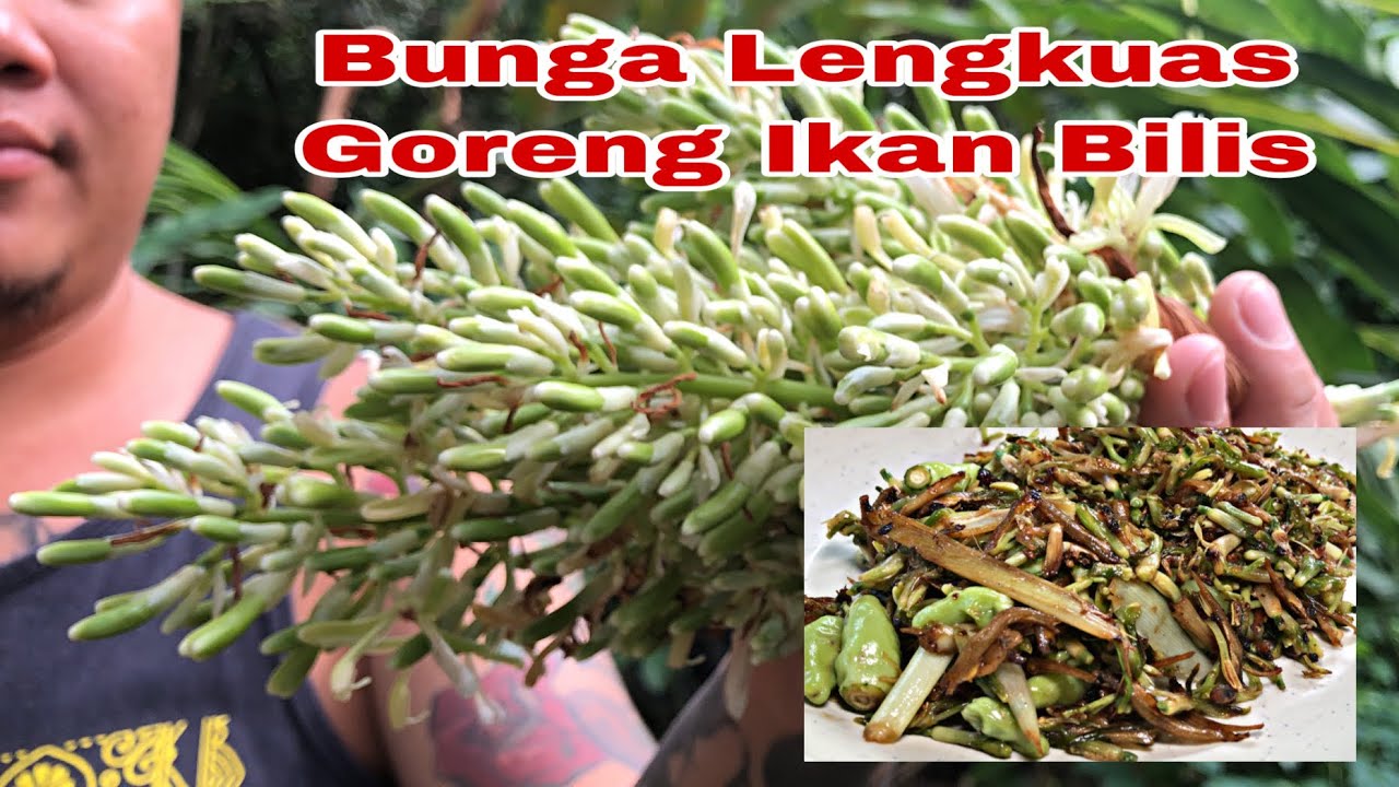 Bunga Lengkuas Goreng Ikan Bilis,Lauk Rumah Panjang Paling Popular ...