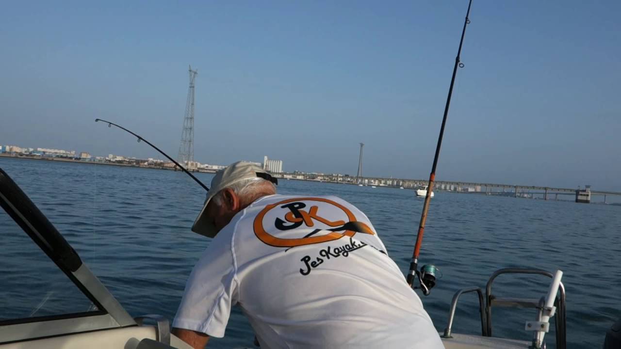PESCA EN LA BAHIA DE CÁDIZ 24 MAYO 2016 video de Antonio Jimenez Bernal ...