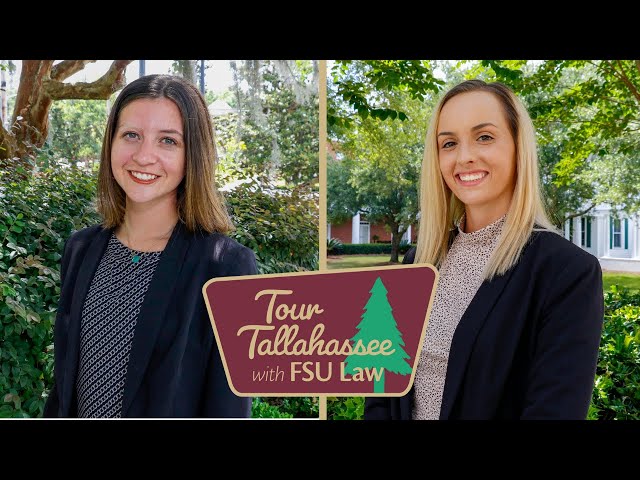 Fsu Law School