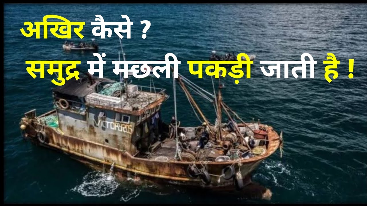 Amazing Fast Tuna Fishing Skill, Catching Big Fish In The Sea [HINDI ...